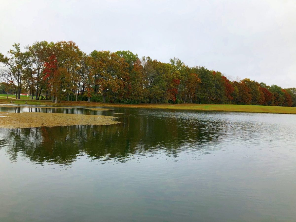 17-year-old drowns in Engler Park’s Giessing Lake – Daily Journal Online