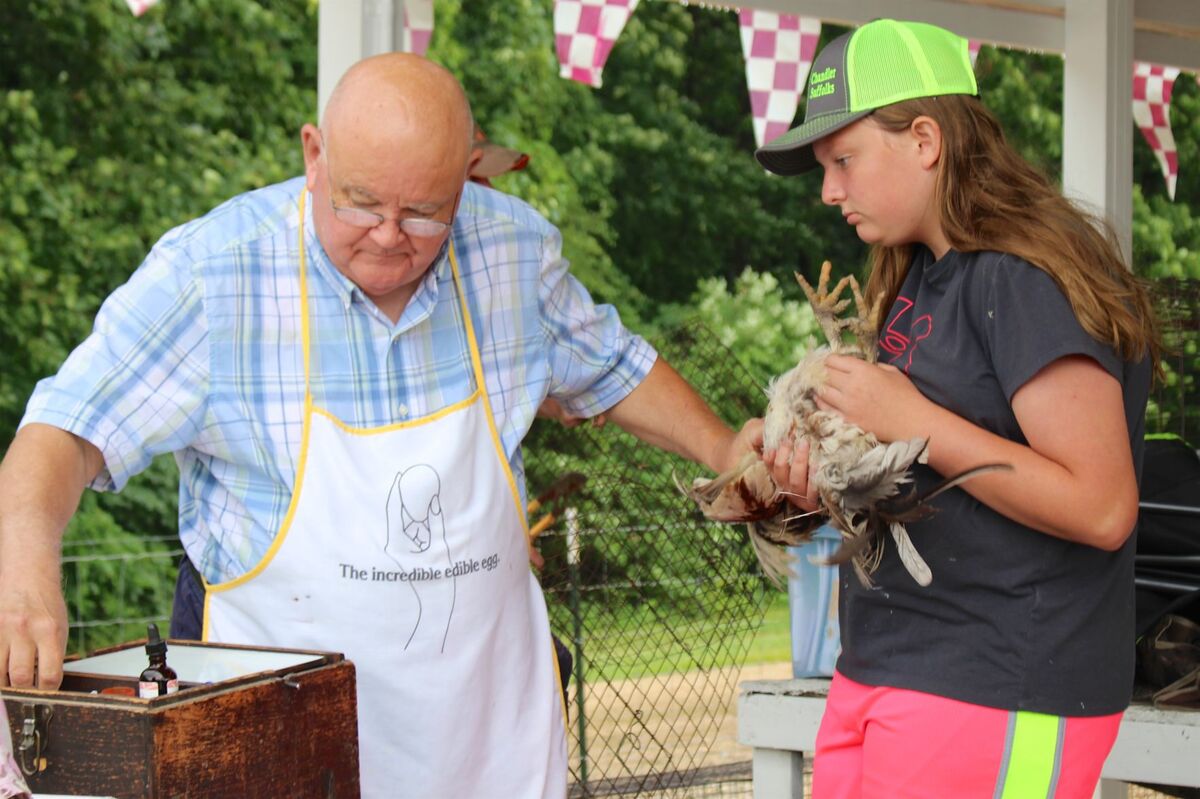 Nice weather greets county fair – Daily Journal Online