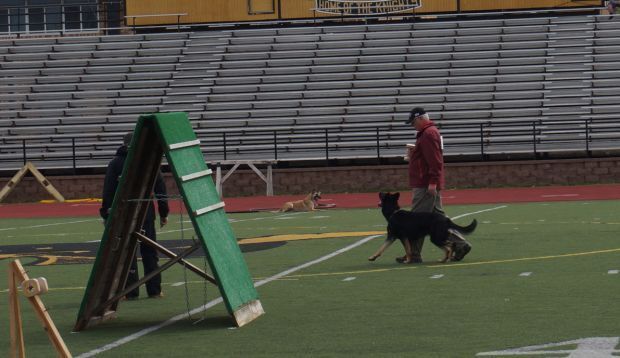 Successful weekend sparks hope for more competitions – Daily Journal Online