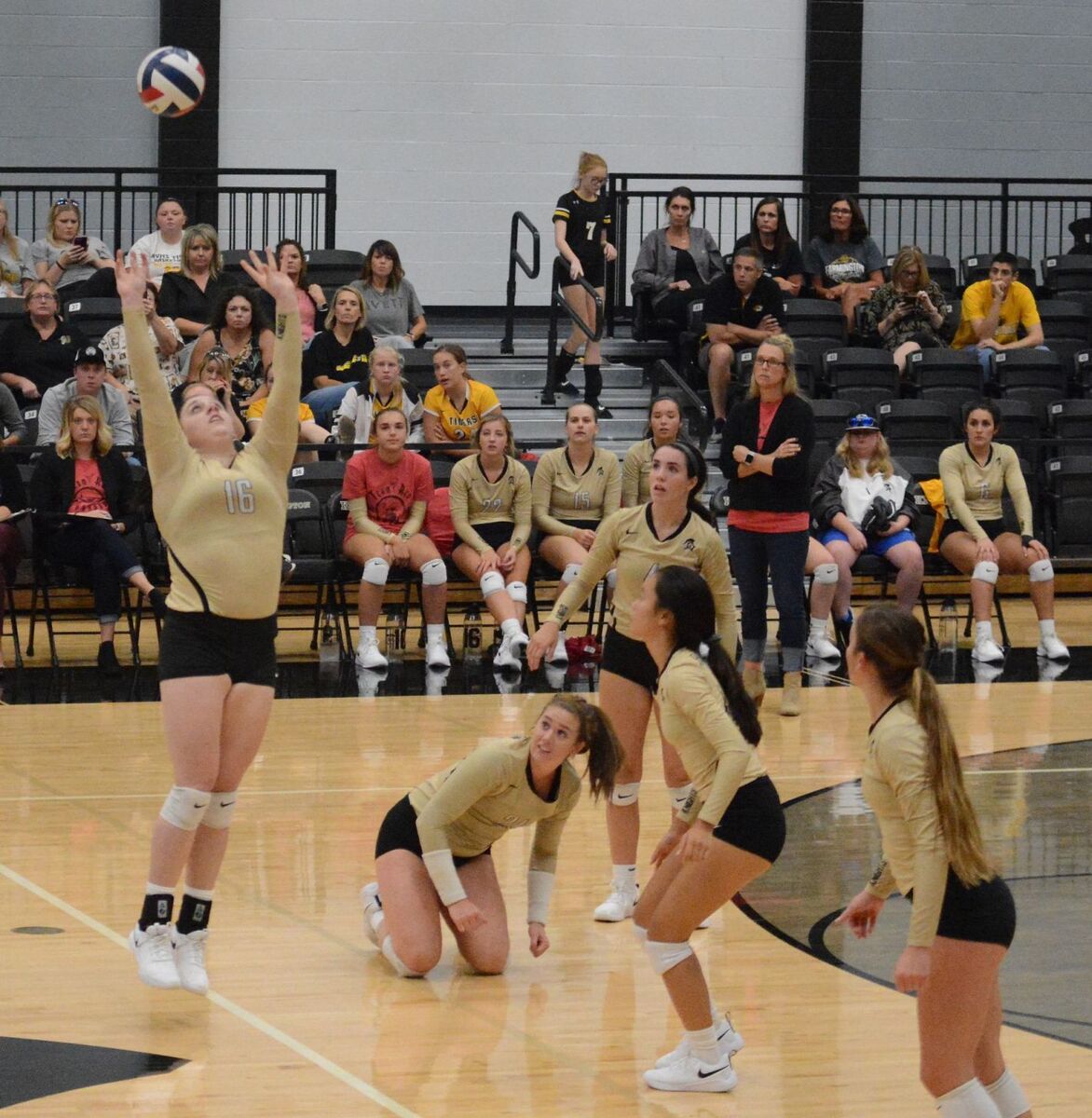 Arcadia Valley hitters thrive against Knights – Daily Journal Online