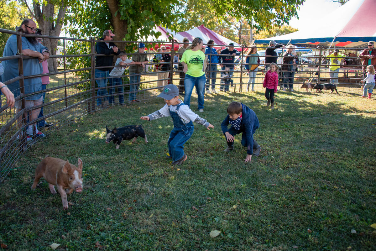 Stagecoach rides, highlight of fair – Daily Journal Online