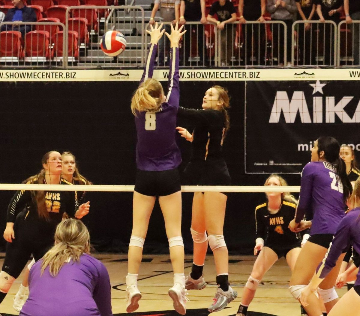 Lady Tigers battle to fourth place in state – Daily Journal Online