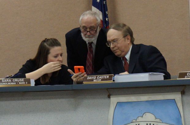 Council approves improvements at Haney Park – Daily Journal Online